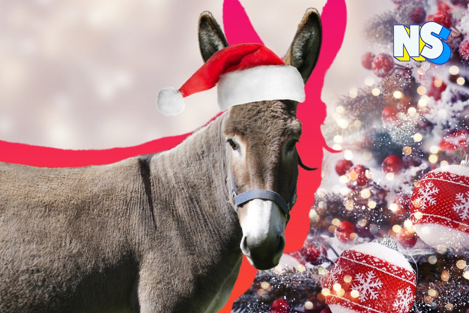 ¿Conoces la historia de la canción 'Mi burrito sabanero'? - Nuestro Stories